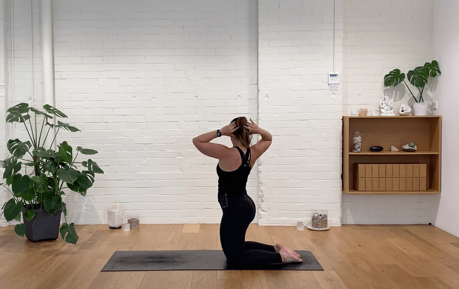 Pilates Align - Upper Body Expression | Selph Health Studios
