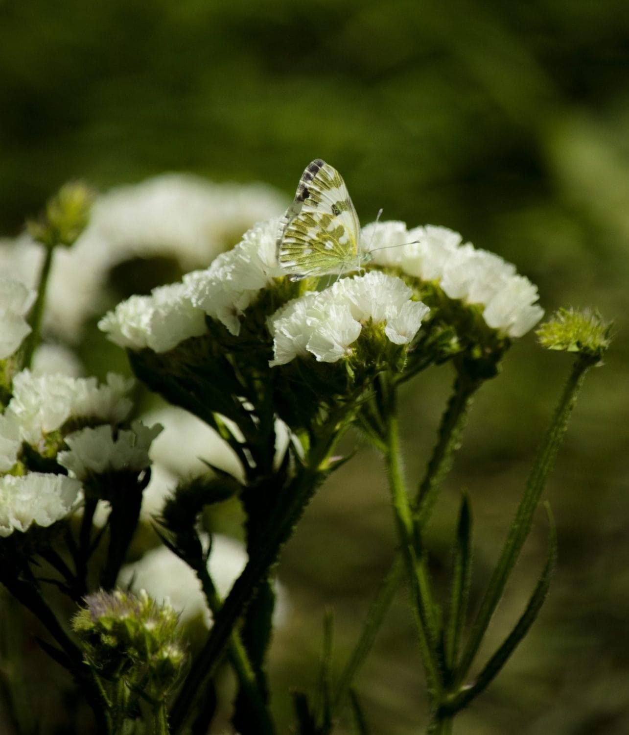 The Benefits of Chiropractic Care and How to Maintain Mind, Body ...